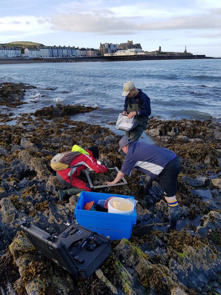 People – Ecostructure